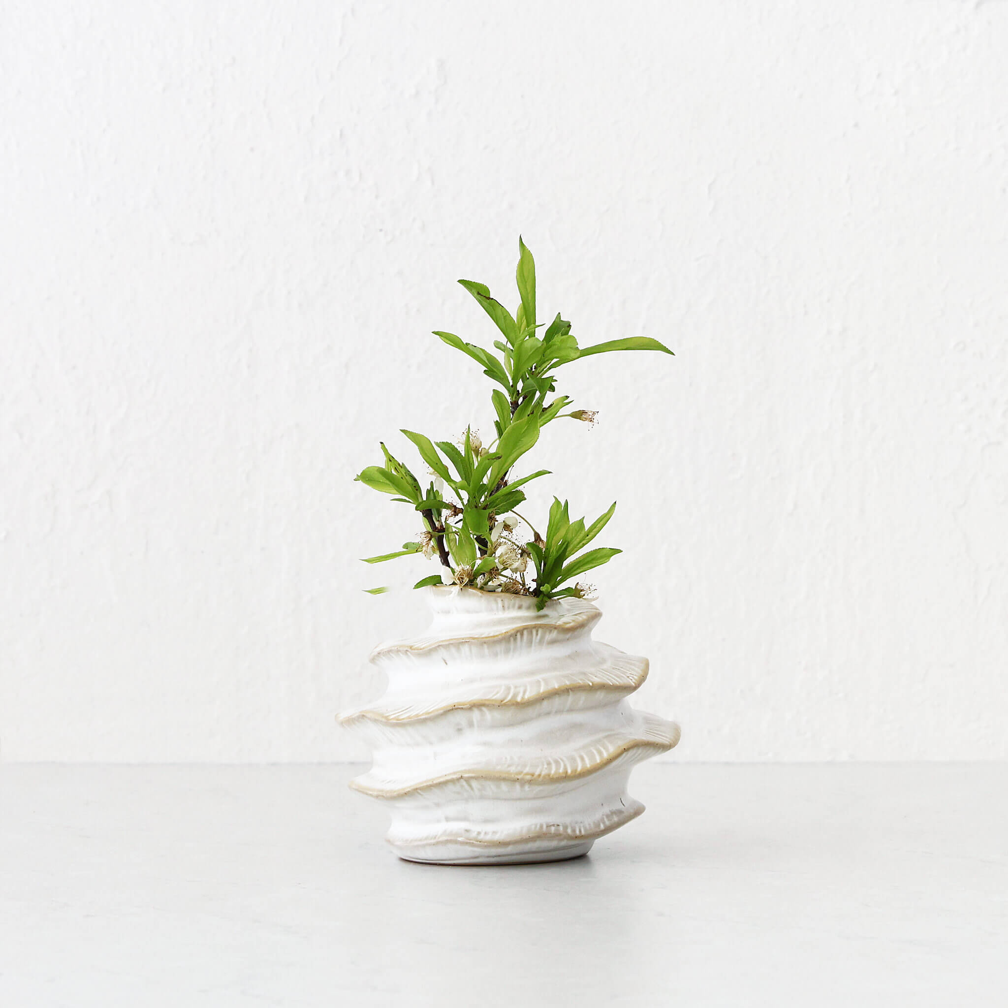 BARDIN ORGANIC GLOSS BUD VASE | MEDIUM | BURNISHED PARCHMENT CERAMIC ...