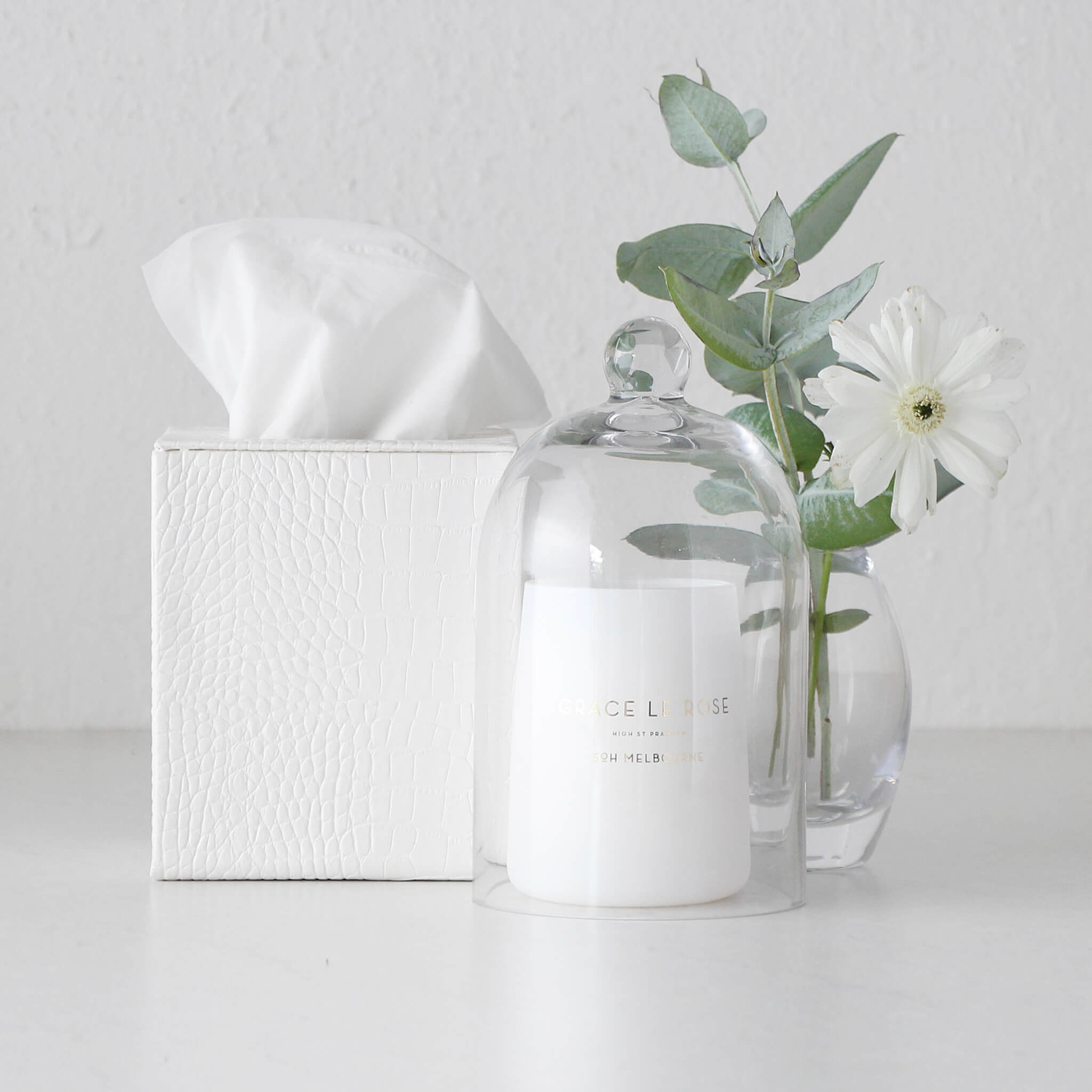 BOND CROCODILE SQUARE TISSUE BOX | LIME WHITE – Living By Design