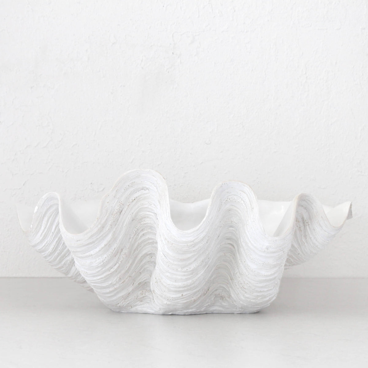 GIANT CLAM SHELL | DECORATIVE BOWL | WHITE RESIN – Living By Design
