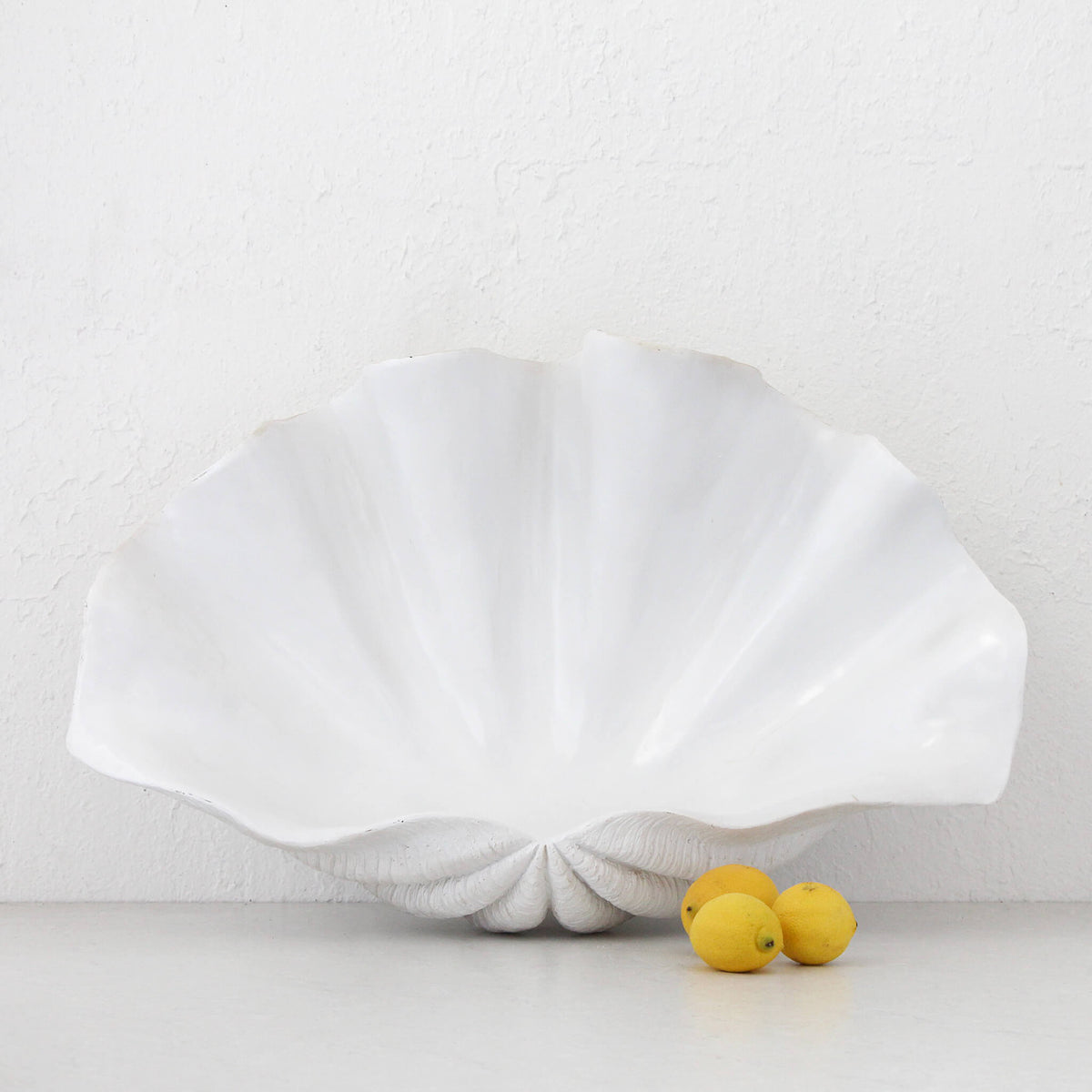 GIANT CLAM SHELL | DECORATIVE BOWL | WHITE RESIN – Living By Design