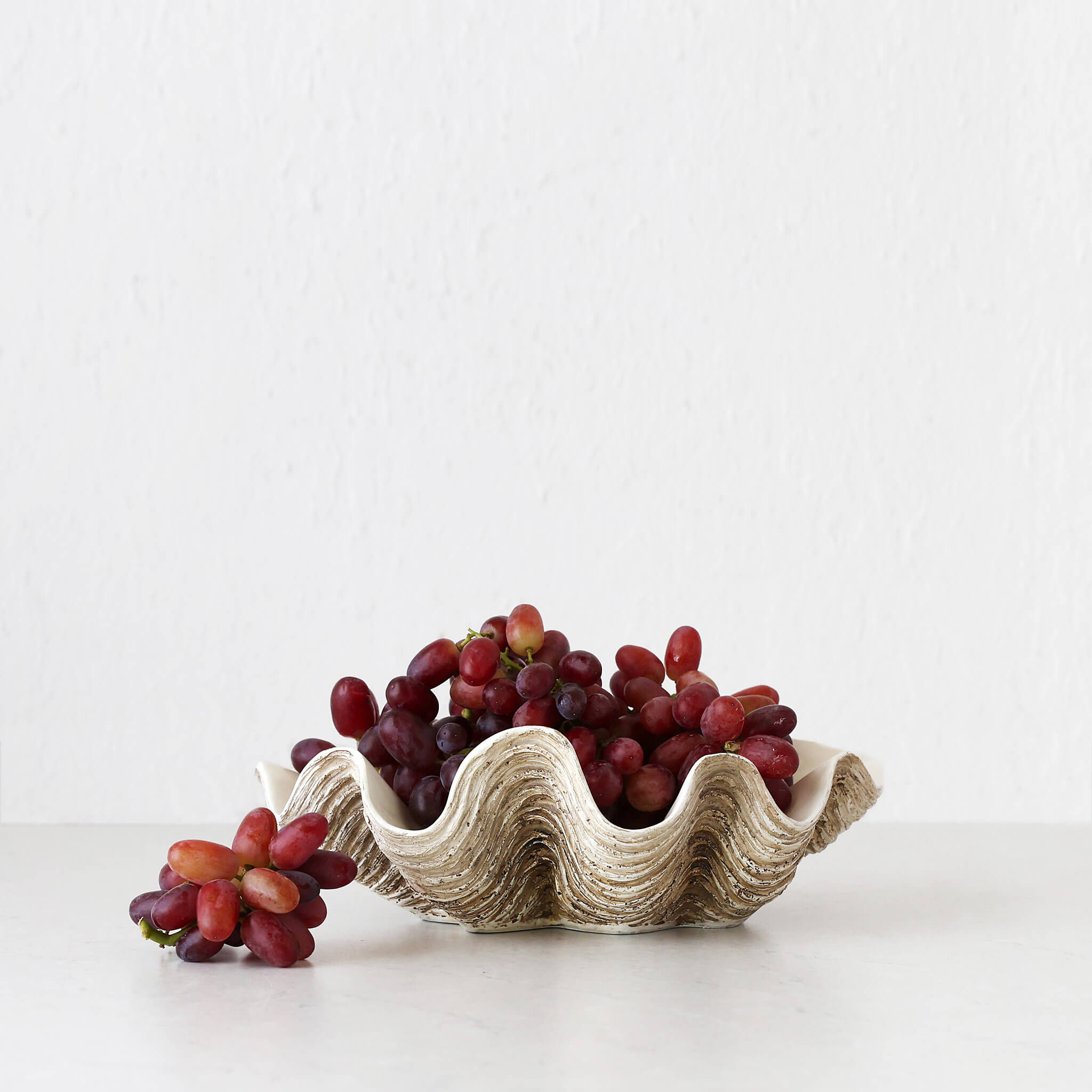 GIANT CLAM SHELL | DECORATIVE BOWL | NATURAL RESIN | MEDIUM – Living By ...