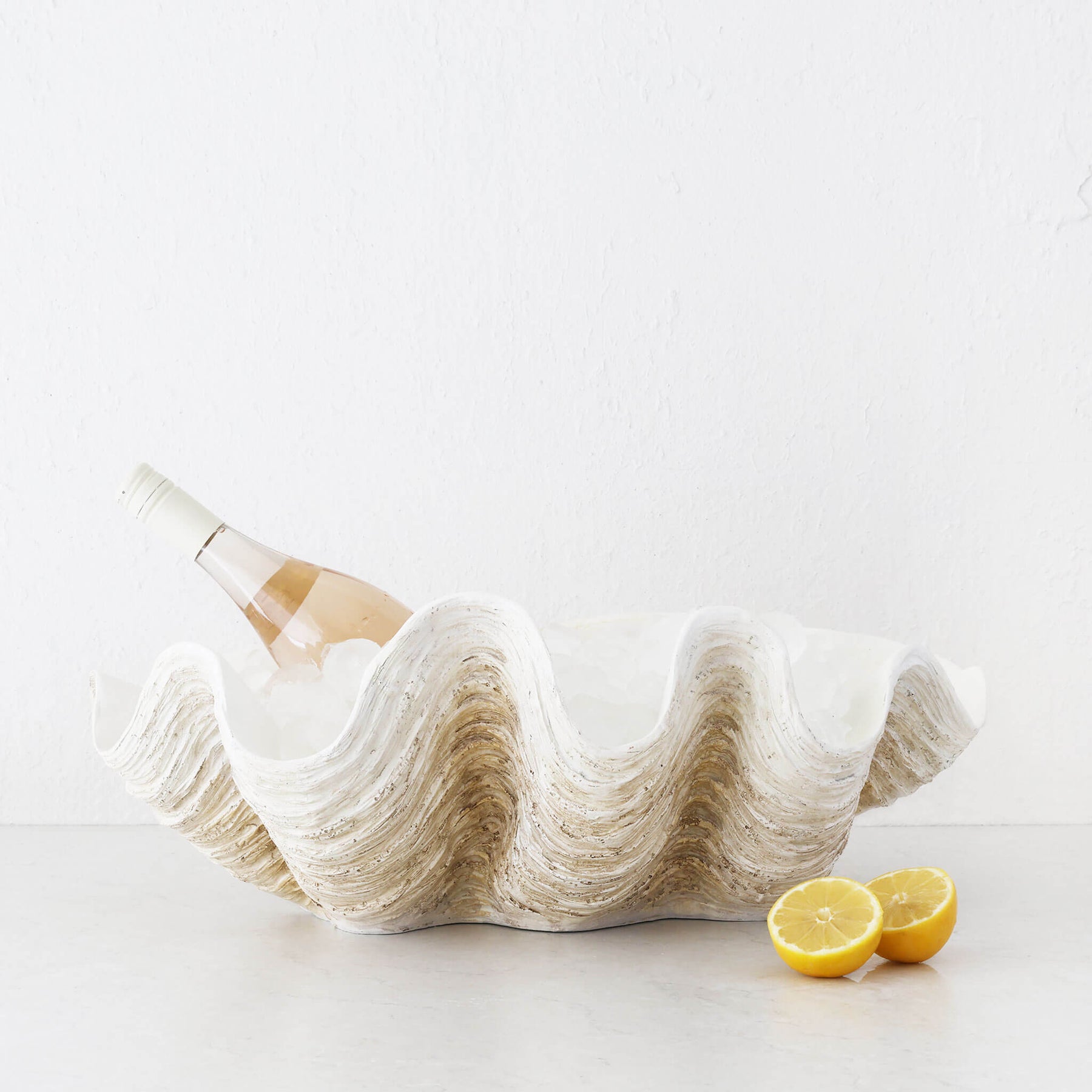 GIANT CLAM SHELL | DECORATIVE BOWL | NATURAL RESIN | EXTRA LARGE ...