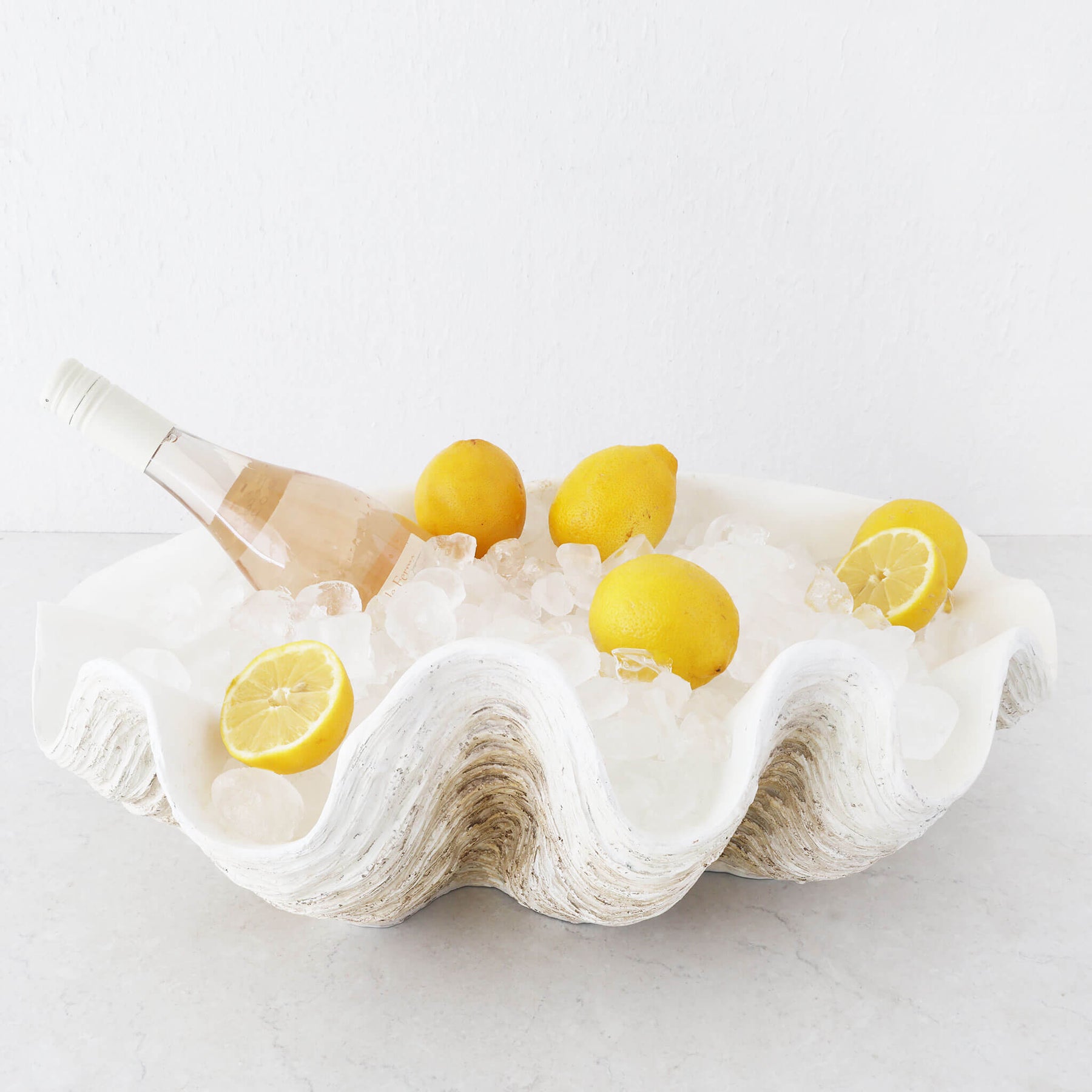 GIANT CLAM SHELL | DECORATIVE BOWL | NATURAL RESIN | EXTRA LARGE ...