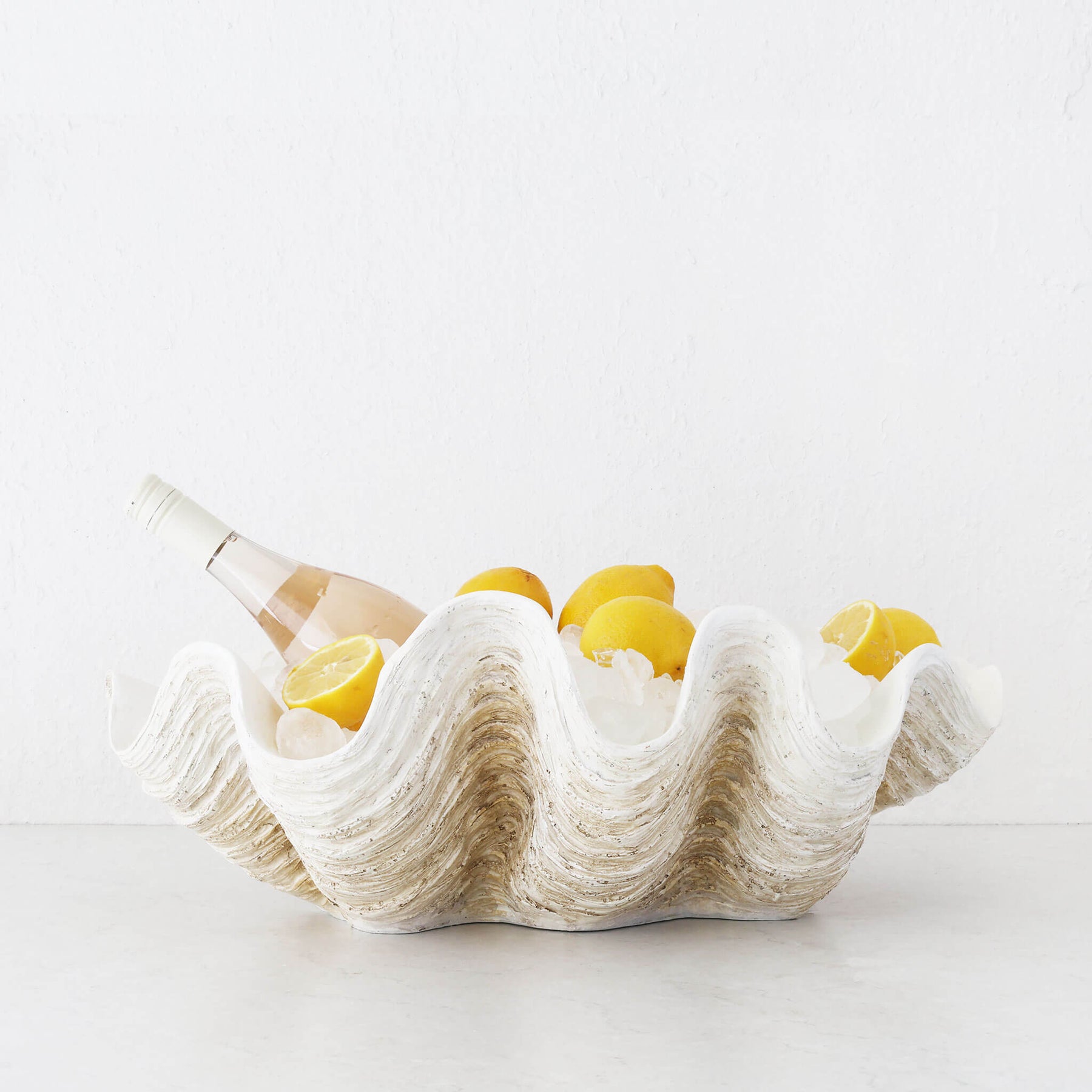 GIANT CLAM SHELL | DECORATIVE BOWL | NATURAL RESIN | EXTRA LARGE ...
