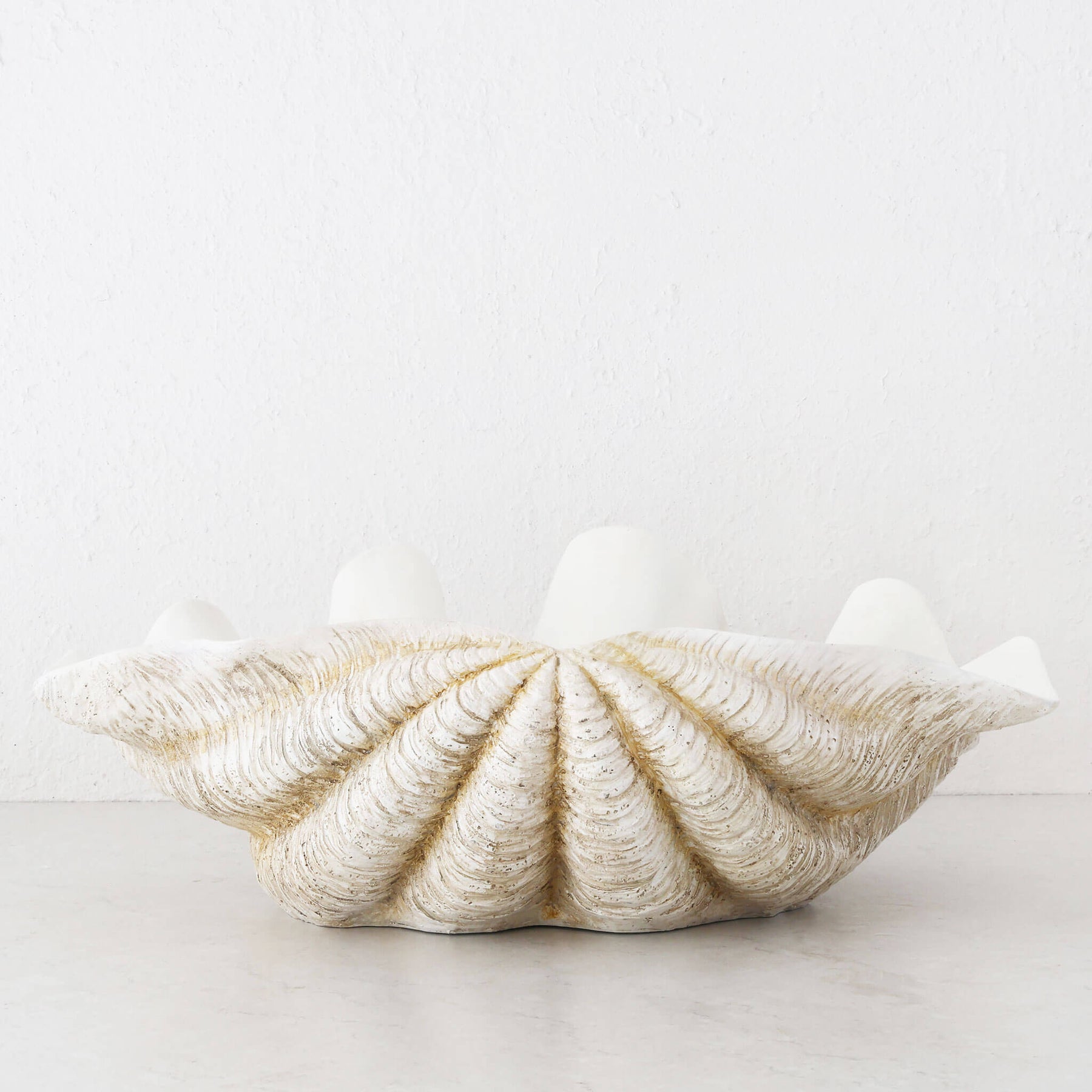 GIANT CLAM SHELL | DECORATIVE BOWL | NATURAL RESIN | EXTRA LARGE ...