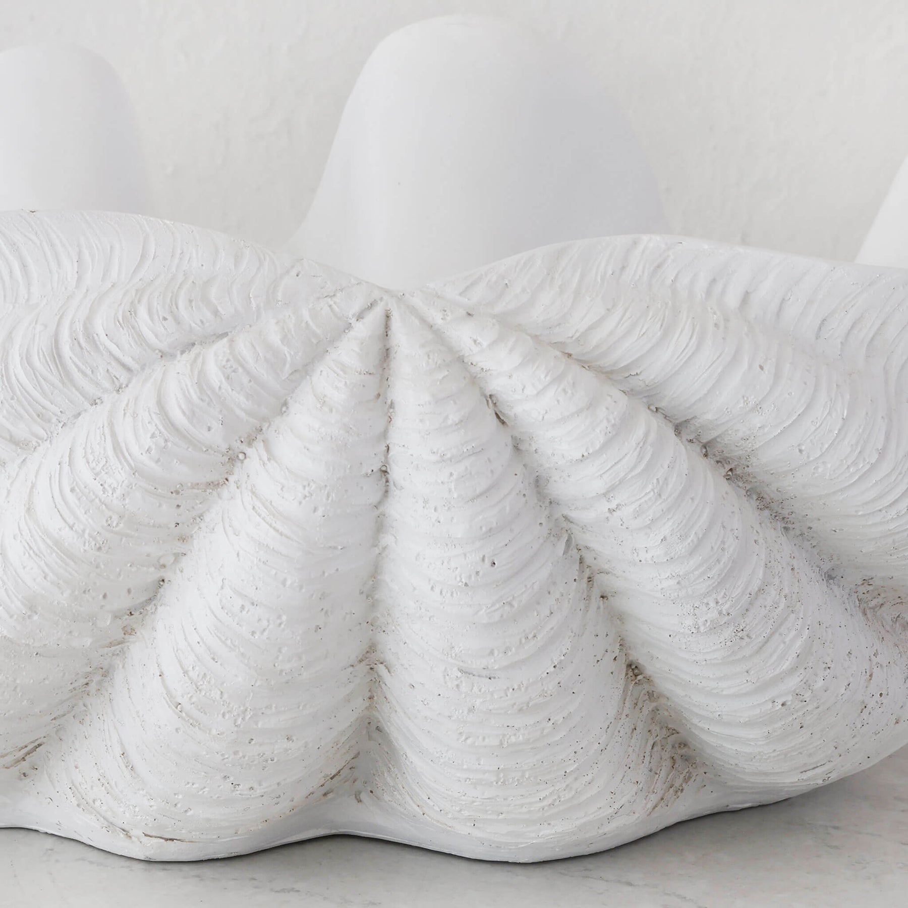 GIANT CLAM SHELL | DECORATIVE BOWL | WHITE RESIN | EXTRA LARGE – Living ...