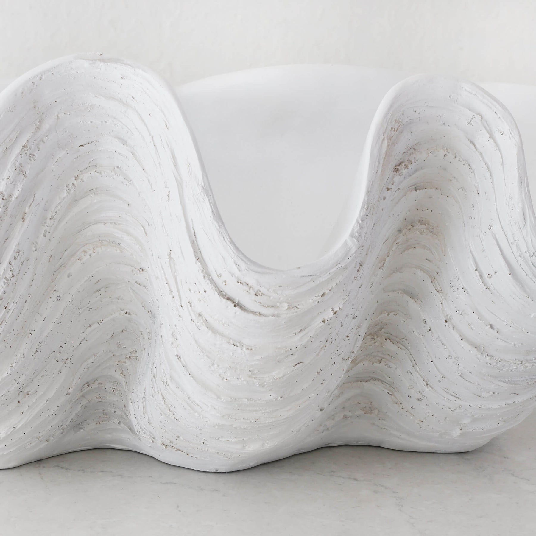GIANT CLAM SHELL | DECORATIVE BOWL | WHITE RESIN | EXTRA LARGE – Living ...